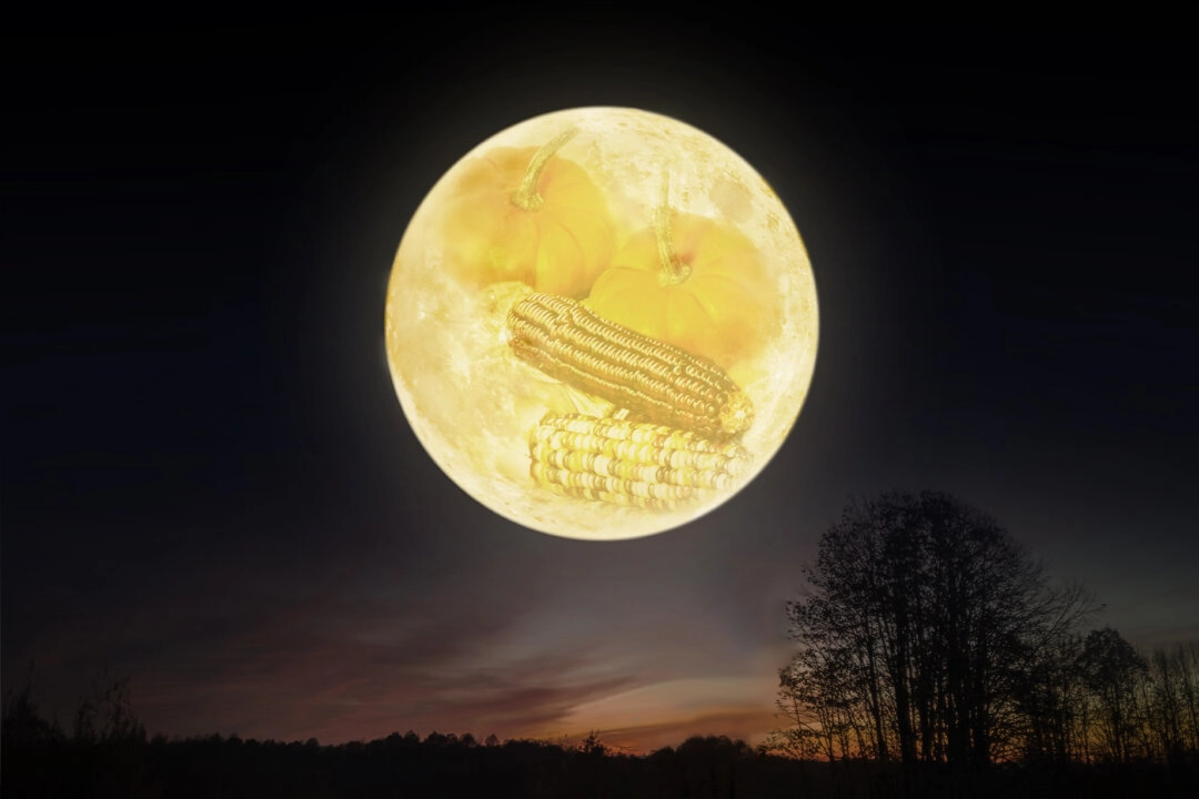 La "luna de la cosecha" de octubre, la superluna más grande de 2025
